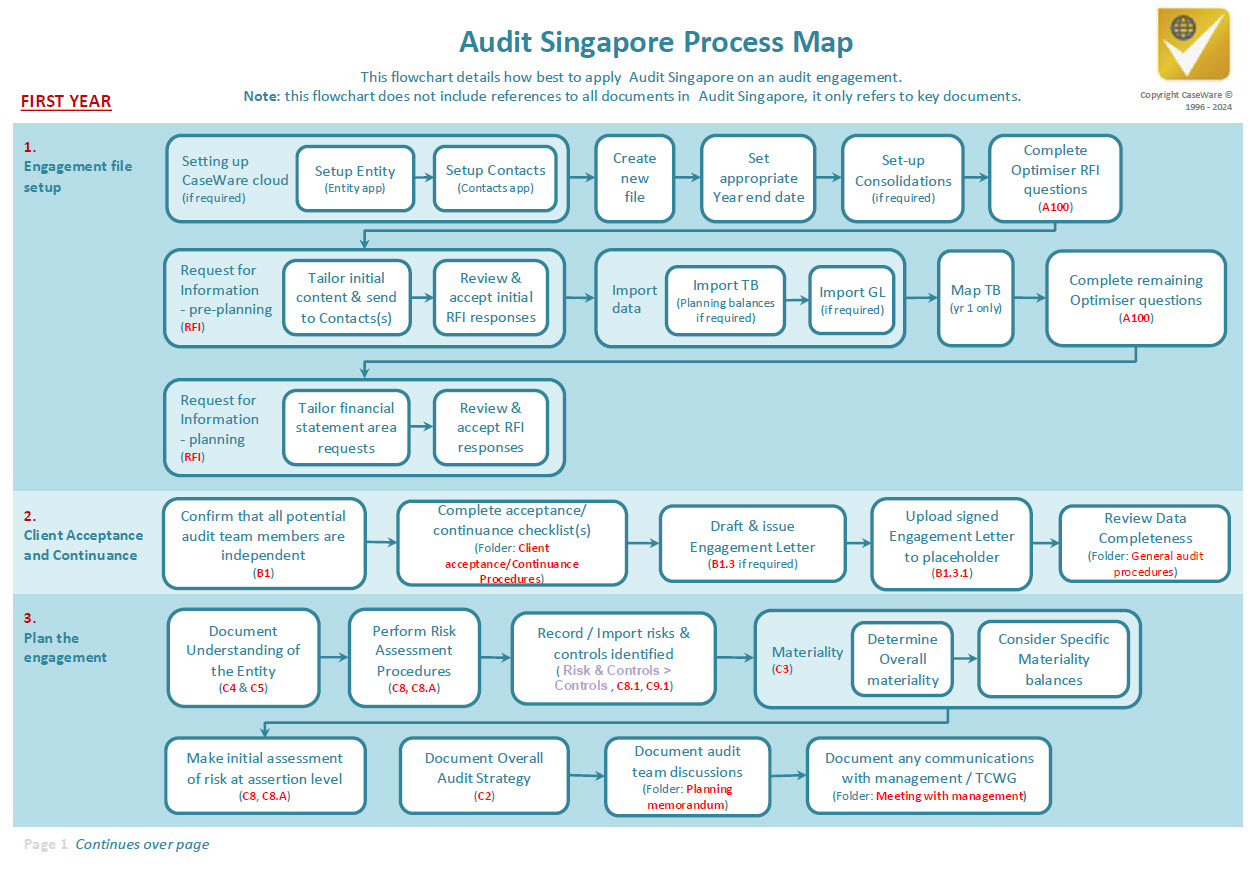 Audit Singapore Process Map