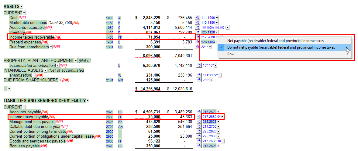 JZ089 Option to net balances recoverable/payable on the balance sheet?