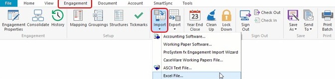 MyCaseware Customer Portal