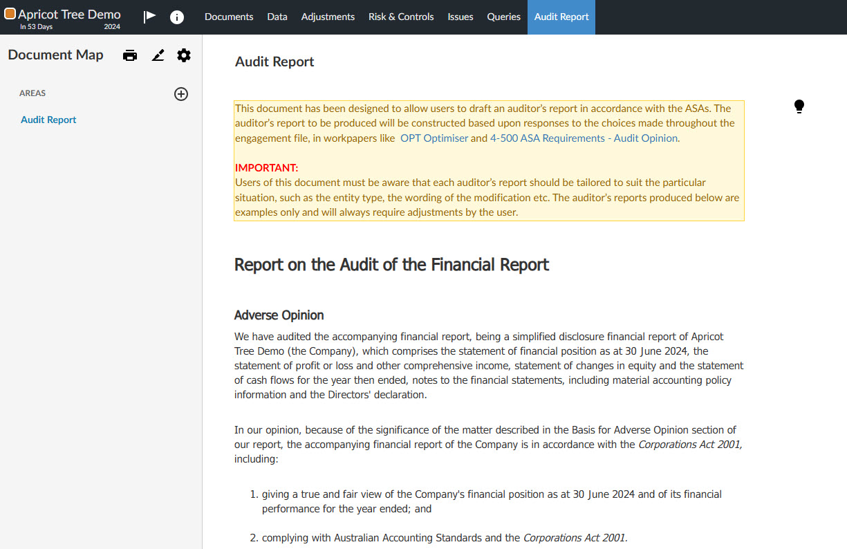 4-520 Audit Report document is blank in Agile Audit engagement files