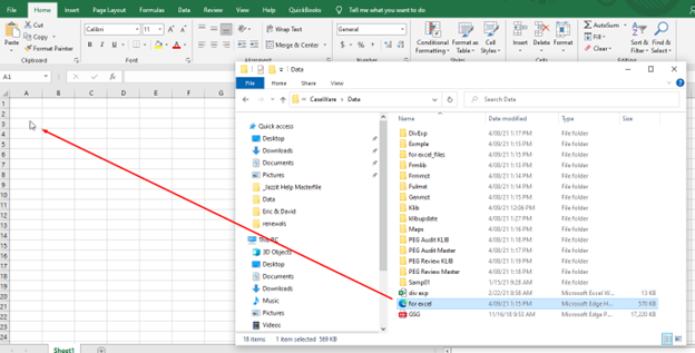 JZ029 How do I export a CaseView document to Excel?
